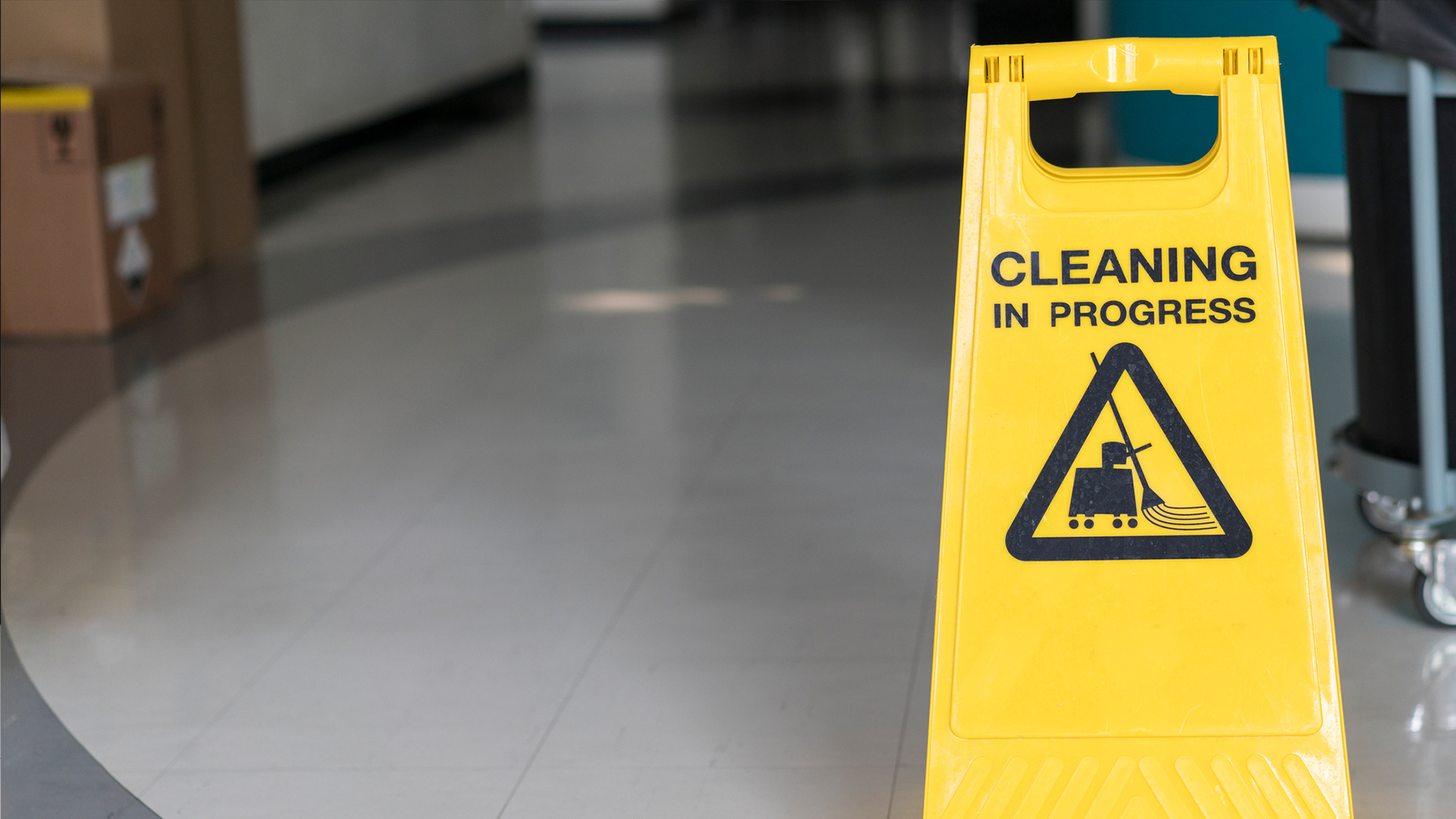 NEMO AI – Clean Data