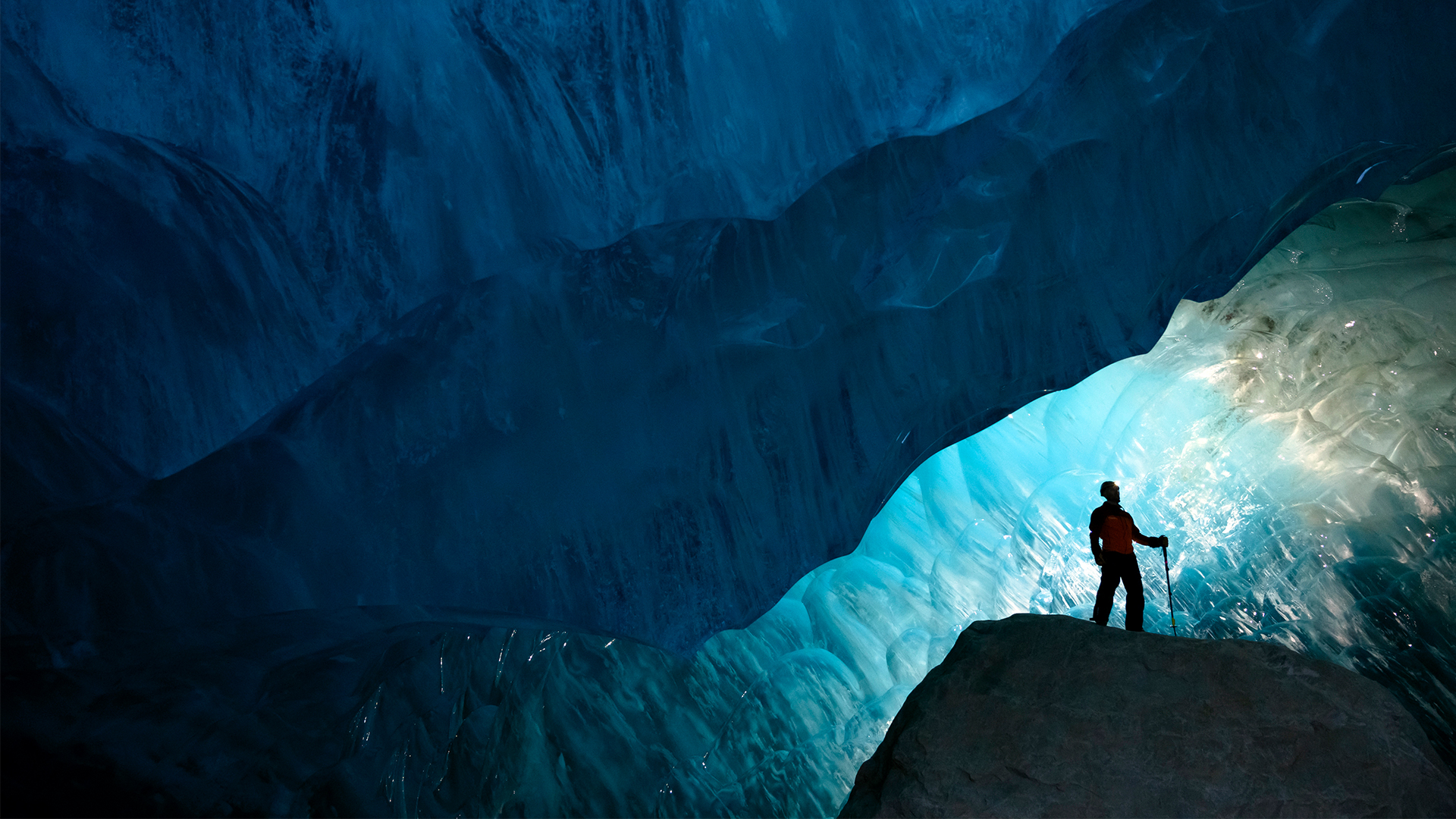 Nemo AI – Smart AI solution for your business